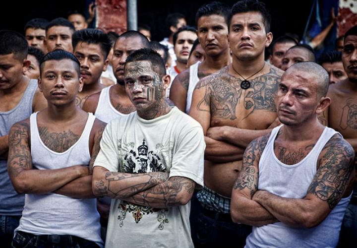 Conocimiento De Pandillas Populares Los Escritores Latinoamericanos